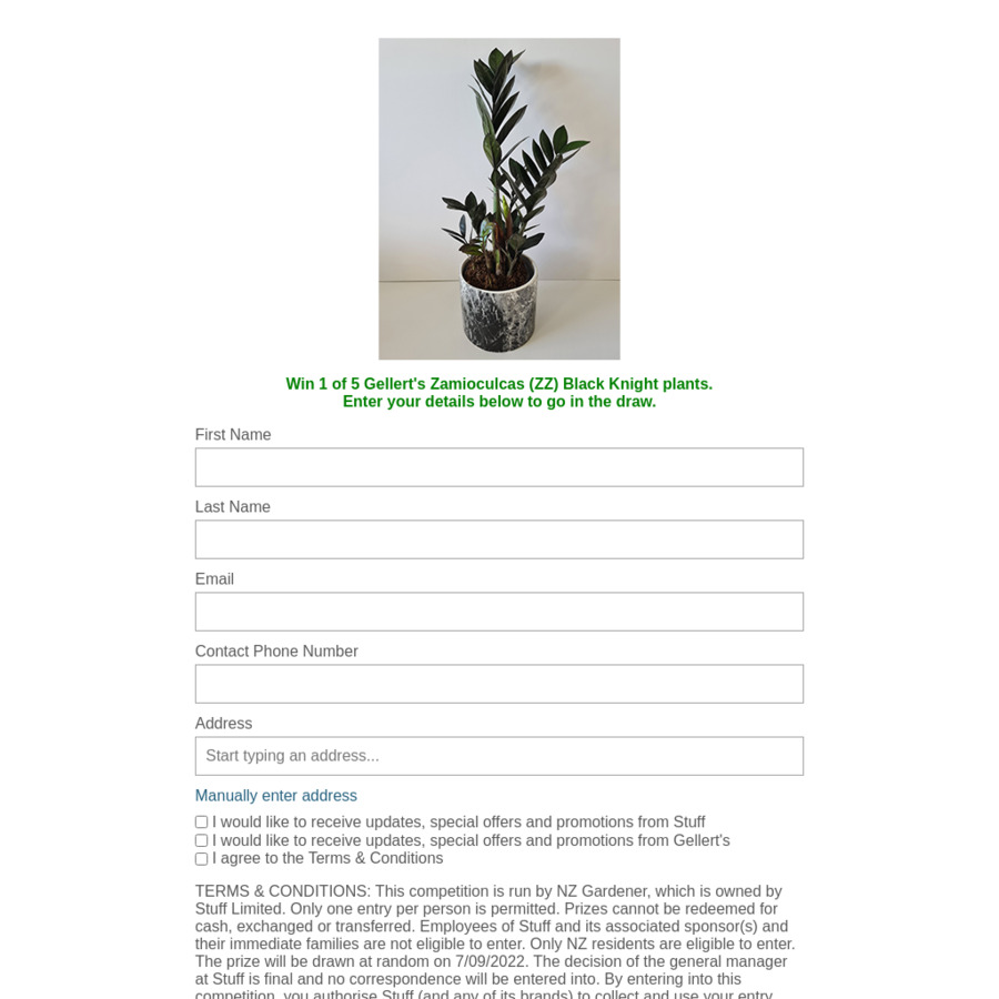 Win 1 of 5 Zamioculcas (ZZ) Black Knight plants (and a white ceramic ...