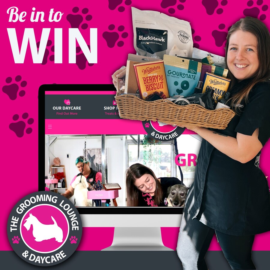 Win a Dog Hamper (Worth $200) from The Grooming Lounge & Daycare ...