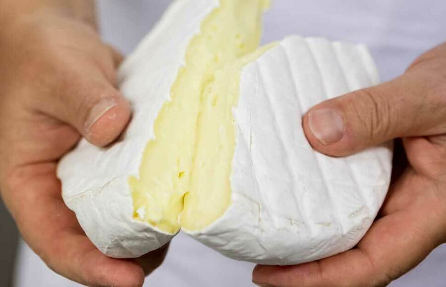 Win 1 of 2 NZ Champions of Cheese Awards Speciality Cheese Prize Packs ...