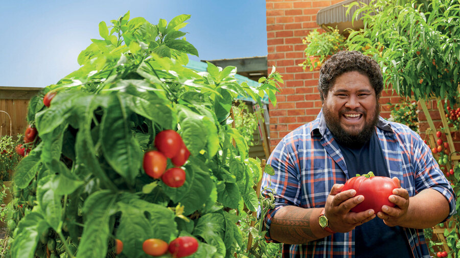 Complete the KiwiSaver Digital Calculator & Advice Tool + Switch ...