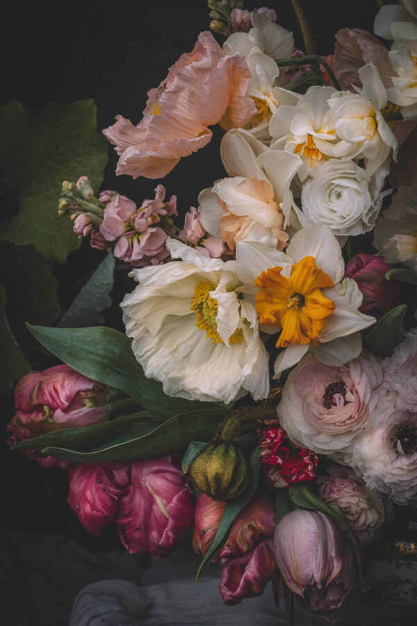 Win a Laura Tait Artwork, Parisienne from NZ Life & Leisure ...