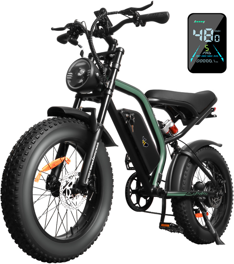 Honey Whale K6 Electric Bike (48km/h, 20" Fat Tyre - 819wh, 1080W Peak ...