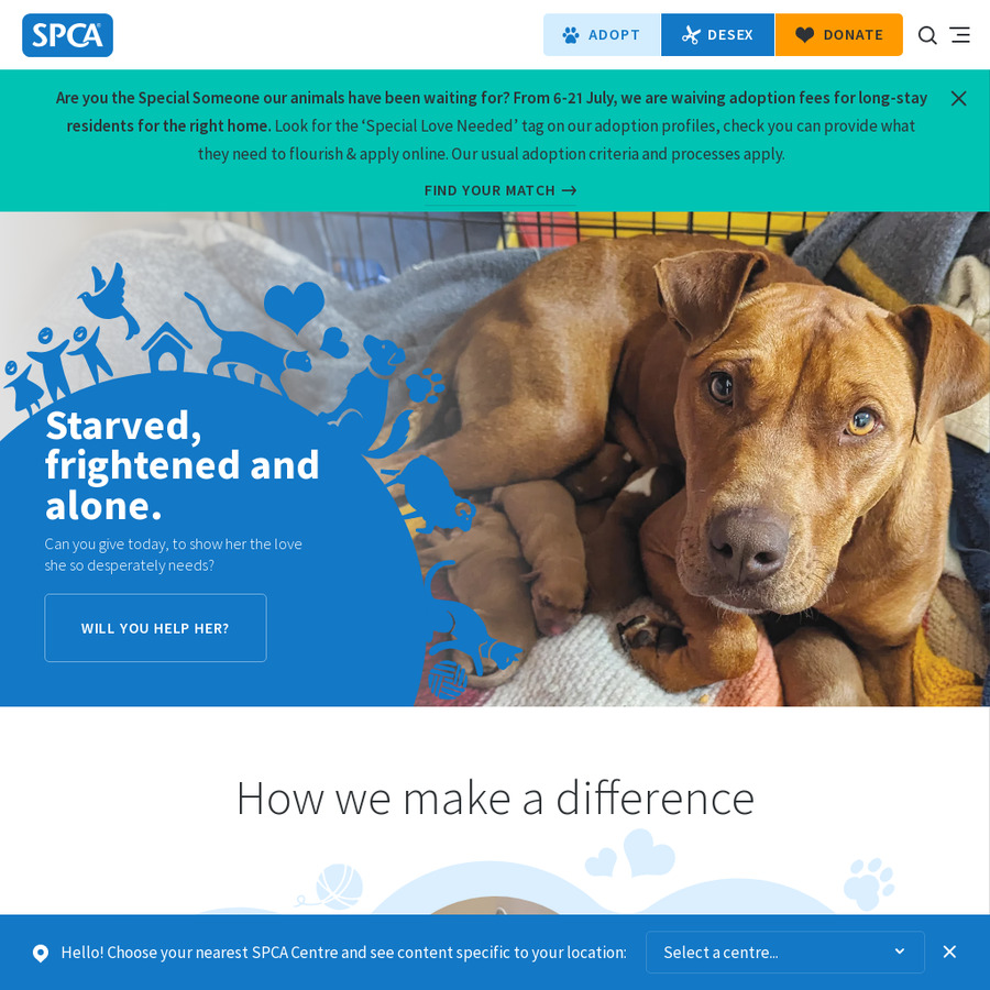 Adoption Fee Waived for Long-Stay Residents ('Special Love Needed' Tag, Usual Adoption Criteria ...