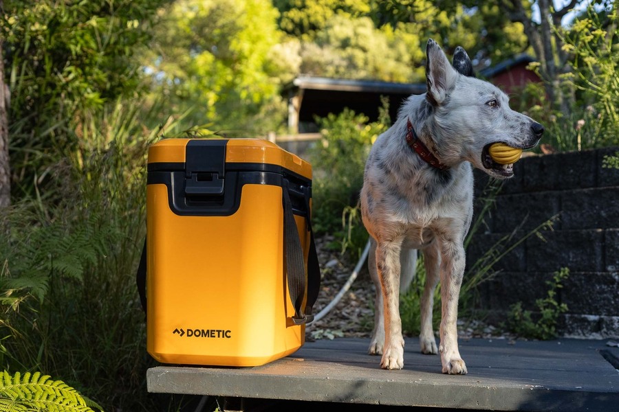 Win a Dometic Recon Hardside Cooler Pack (Worth $1,043) from We Are ...