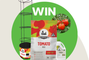 Win a Tomato Pack @ Tui Garden - ChoiceCheapies Competitions